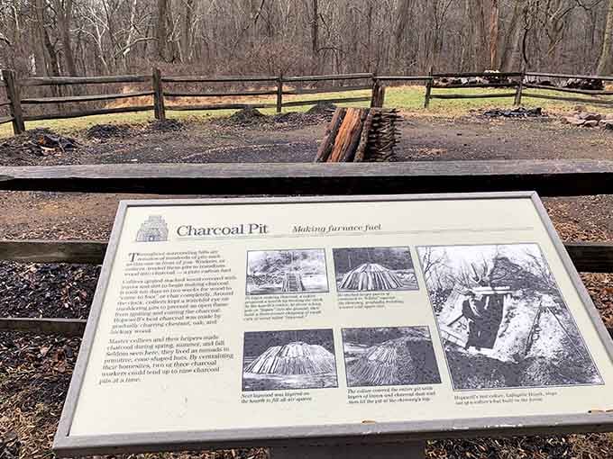 Charcoal pits like this consumed entire forests to fuel the furnace's insatiable appetite for heat and power.