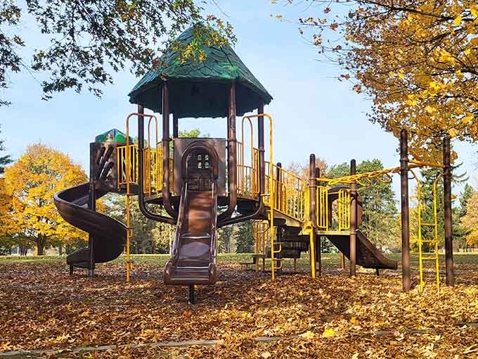 Autumn leaves carpeting the playground equipment turn an ordinary park into a postcard-perfect slice of Michigan life.
