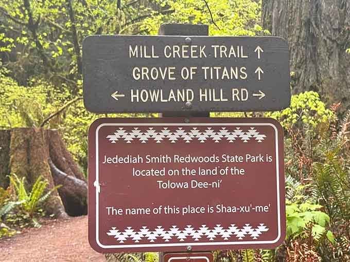 This helpful sign points you toward multiple trails, each offering its own brand of jaw-dropping forest scenery.