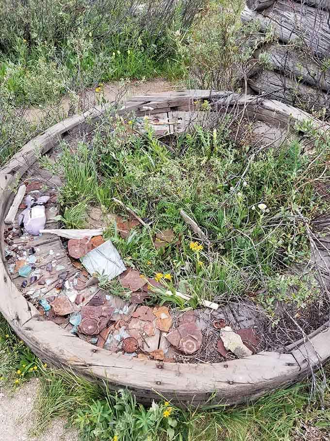 Nature's reclaiming this wagon wheel faster than your garden reclaims itself every time you go on vacation.