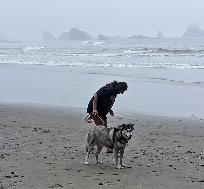 That happy pup knows what we all discover eventually: beaches are exponentially better when shared with a four-legged adventure companion.