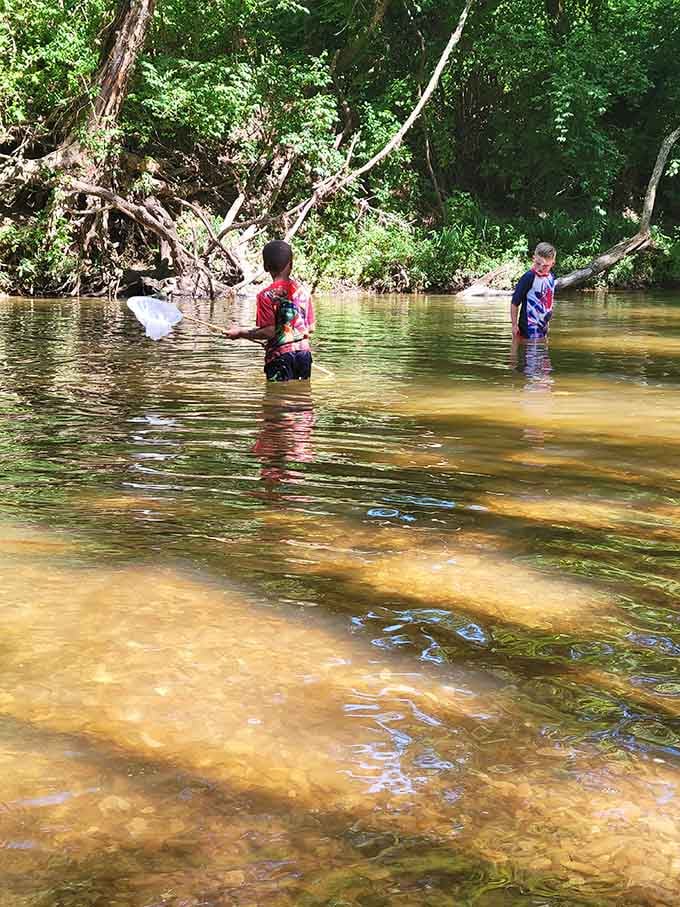 Kids catching minnows in the creek, living their best life without a screen in sight at Indian Camp Creek Park.