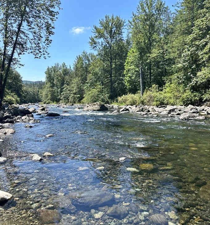 Crystal-clear shallows revealing every pebble, proving this river has absolutely nothing to hide from visitors.