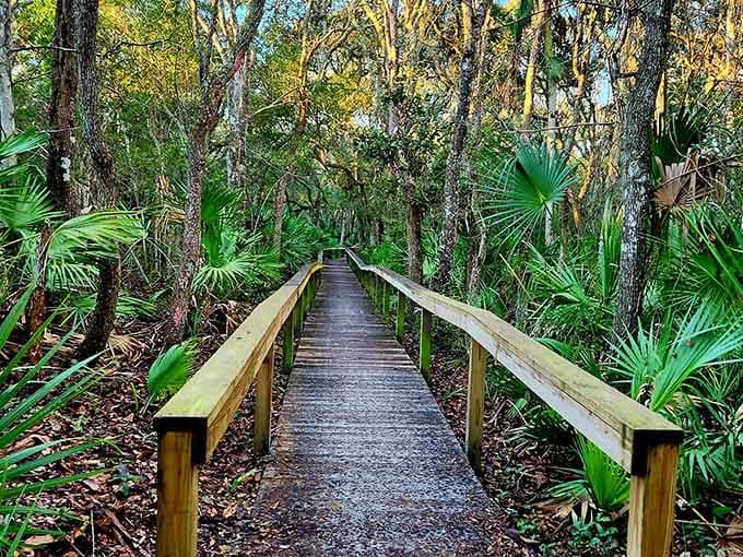 Forest trails that make you forget you're twenty minutes from a major city and five minutes from air conditioning.