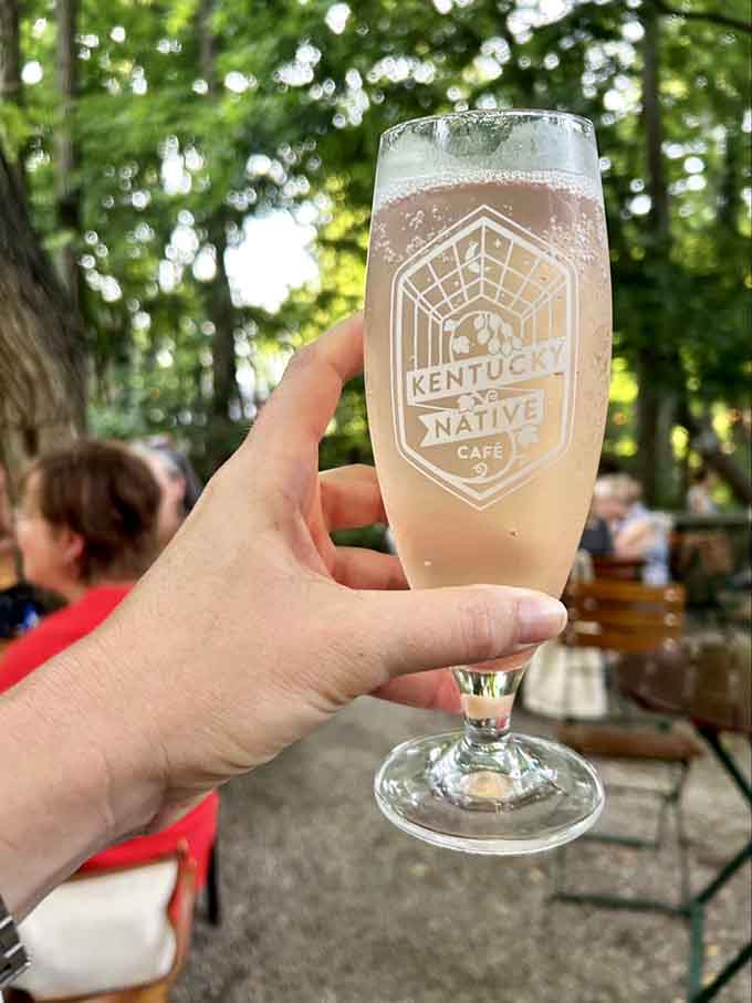 Homemade rhubarb soda held up to dappled sunlight looks like summer captured in a glass and tastes even better.