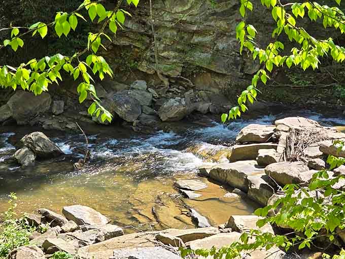 Clear mountain water tumbles over ancient rocks, creating nature's own meditation soundtrack for absolutely free.