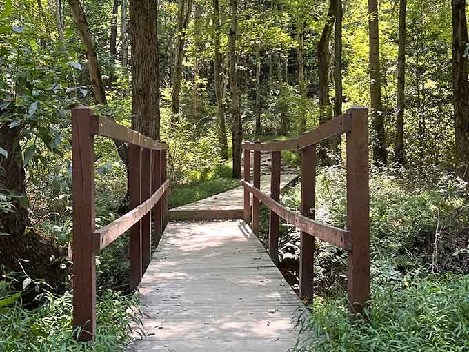 This sturdy footbridge offers safe passage over the creek, proving that civilization and wilderness can coexist beautifully.