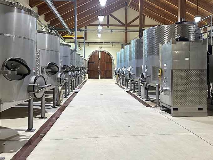 These gleaming fermentation tanks are where the magic happens, turning grapes into liquid happiness one batch at a time.