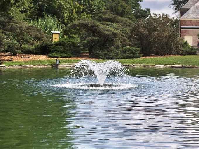 Fountains dance across the pond, creating that soothing water sound that makes you forget about your overdue bills.