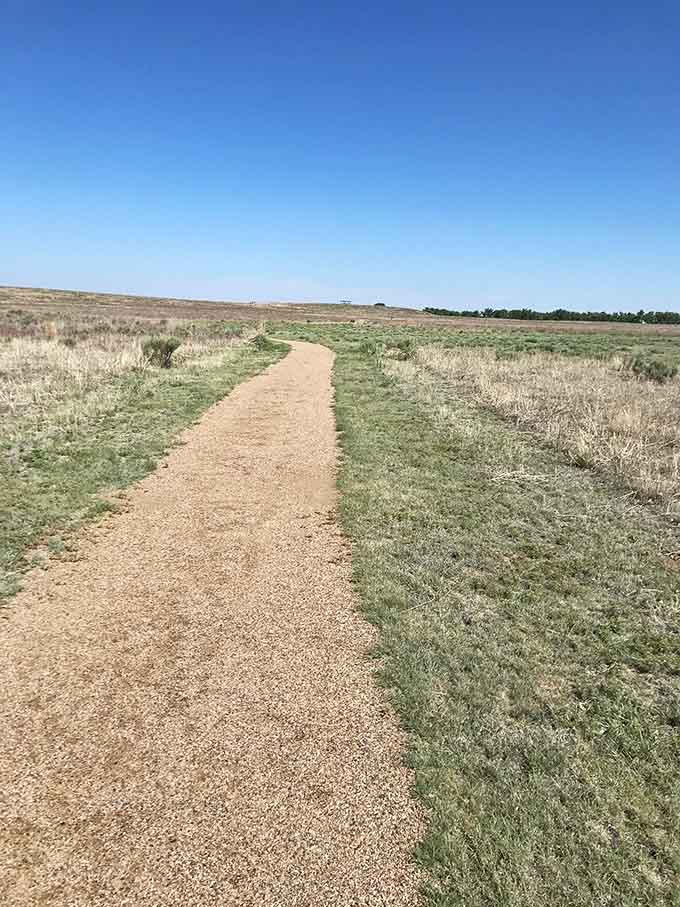 Walking trails wind through grasslands where the only traffic jam involves tumbleweeds and prairie dogs.