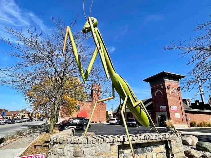The KokoMantis sculpture adds a touch of whimsy to downtown, because every city needs giant insects.
