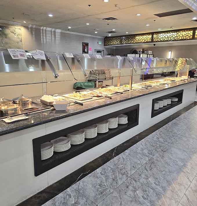 Buffet stations gleaming under perfect lighting, organized with the precision of someone who really understands hungry people's needs.