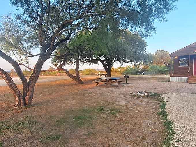 Shaded picnic spots under sprawling trees, ideal for post-swim snacks and planning your next river dip.