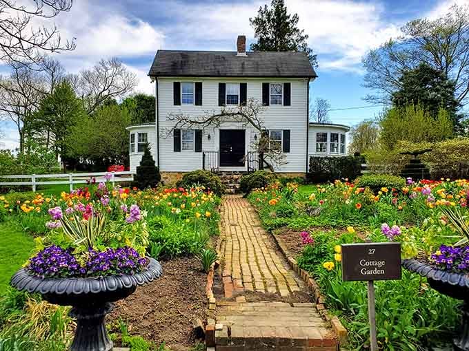 The Cottage Garden bursting with color like someone spilled a rainbow and decided to just leave it there.