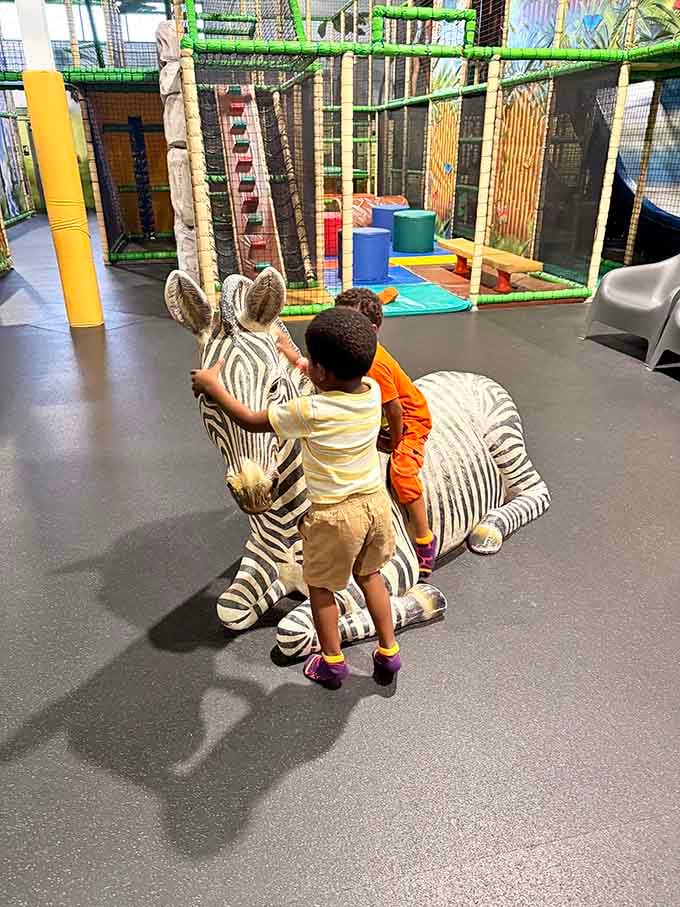 Riding zebras indoors beats riding actual zebras, which we're told is both difficult and highly discouraged anyway.