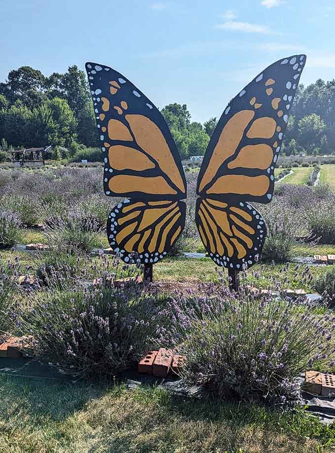 This butterfly sculpture is larger than life, much like your excitement when you first smell the lavender.