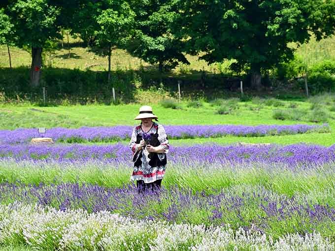 Strolling through the fields in a sun hat, looking like you've stepped into a French countryside painting.
