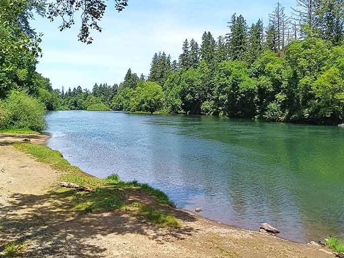 The South Santiam River flows peacefully through Waterloo Park, inviting picnics, fishing, and blissful summer afternoons.