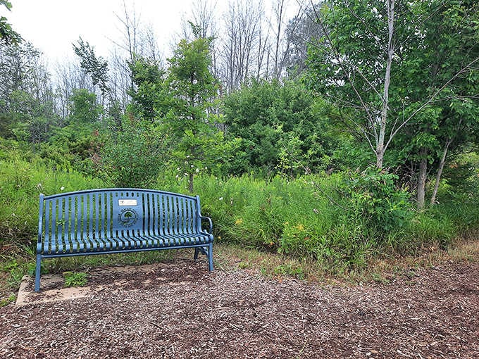 A quiet bench waits for contemplative souls who understand that sometimes the best activity is simply sitting still.