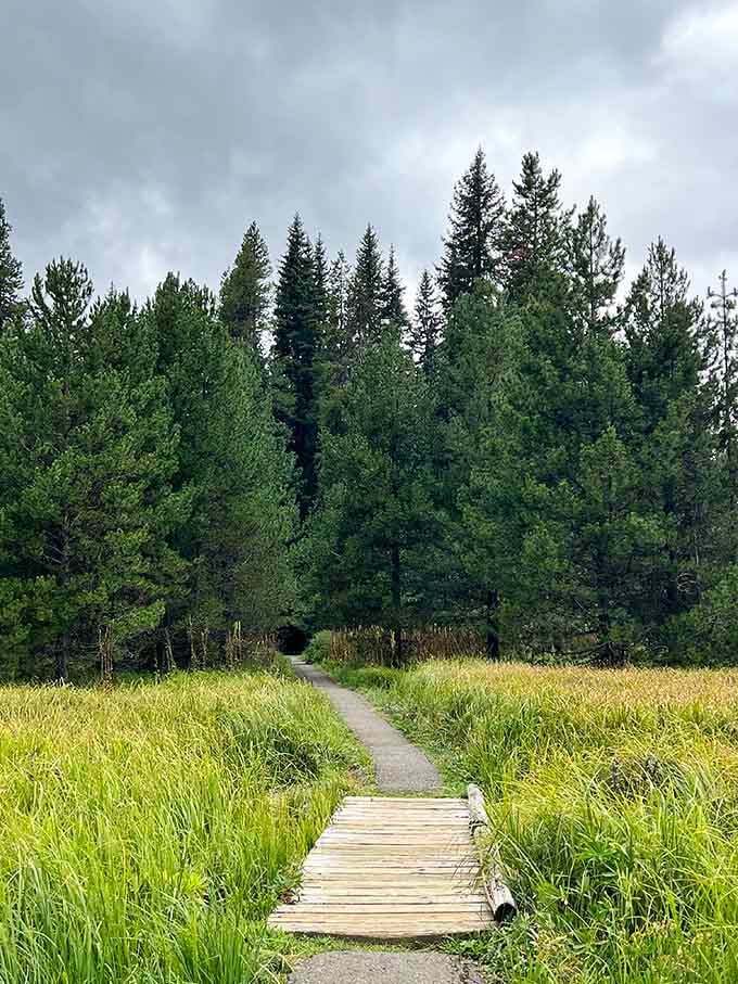 The paved trail through golden meadows makes this stunning destination accessible for visitors of all hiking abilities.
