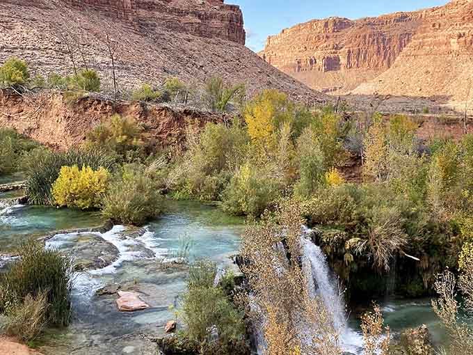 The terraced pools and golden travertine formations look like something from a fantasy movie set designer's fever dream.
