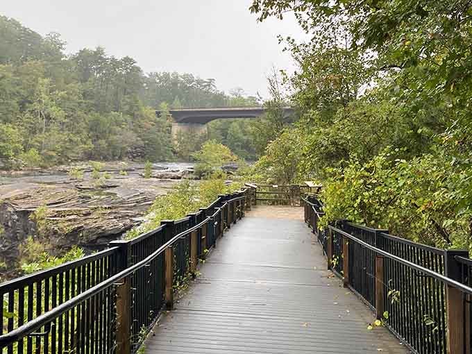 The walkway guides you through the forest like a red carpet leading to nature's main event just ahead.