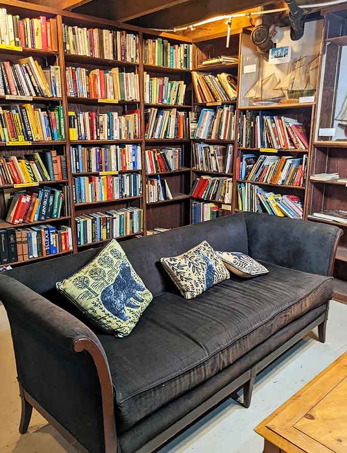 That vintage sofa has probably supported more reading marathons than a college dorm during finals week combined.
