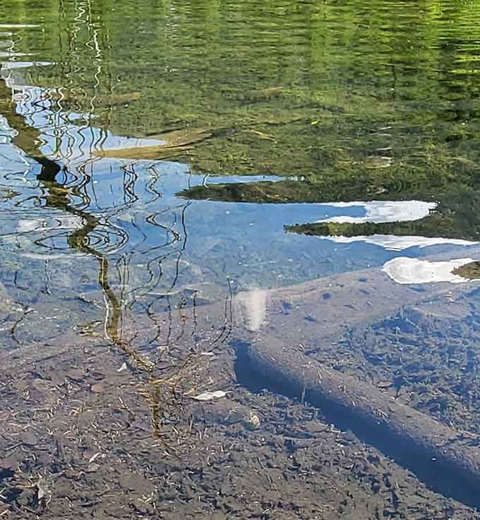 Water so clear you can see straight to the bottom. It's like nature installed a high-definition filter here.