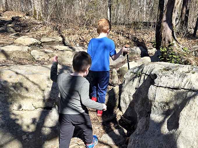 Young explorers discovering that the best adventures don't require batteries, just curiosity and sturdy shoes.