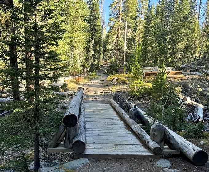 Thoughtful trail construction keeps your feet dry while crossing wetlands on these charming wooden walkways throughout.