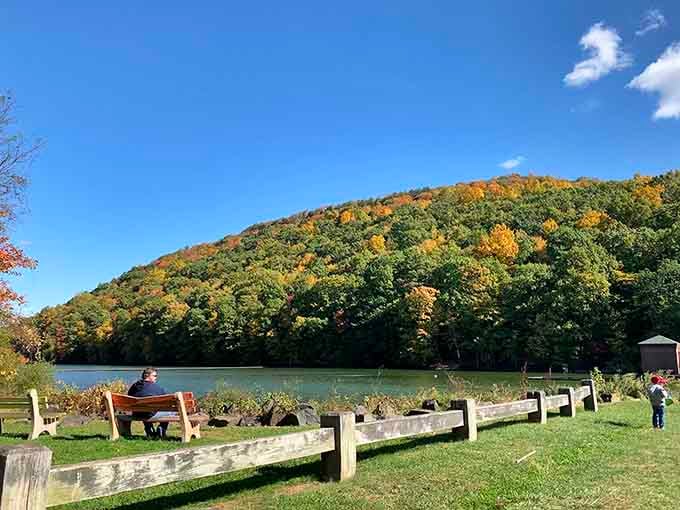 Doctor Francis Giuffrida Park offers peaceful waterfront views where contemplation comes free with every visit, no membership required.