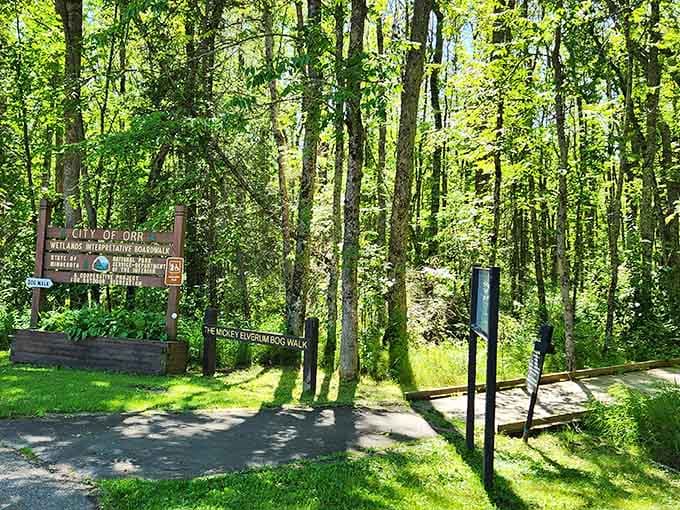 Shaded parking and clear signage make finding this natural treasure easier than programming your old VCR ever was.