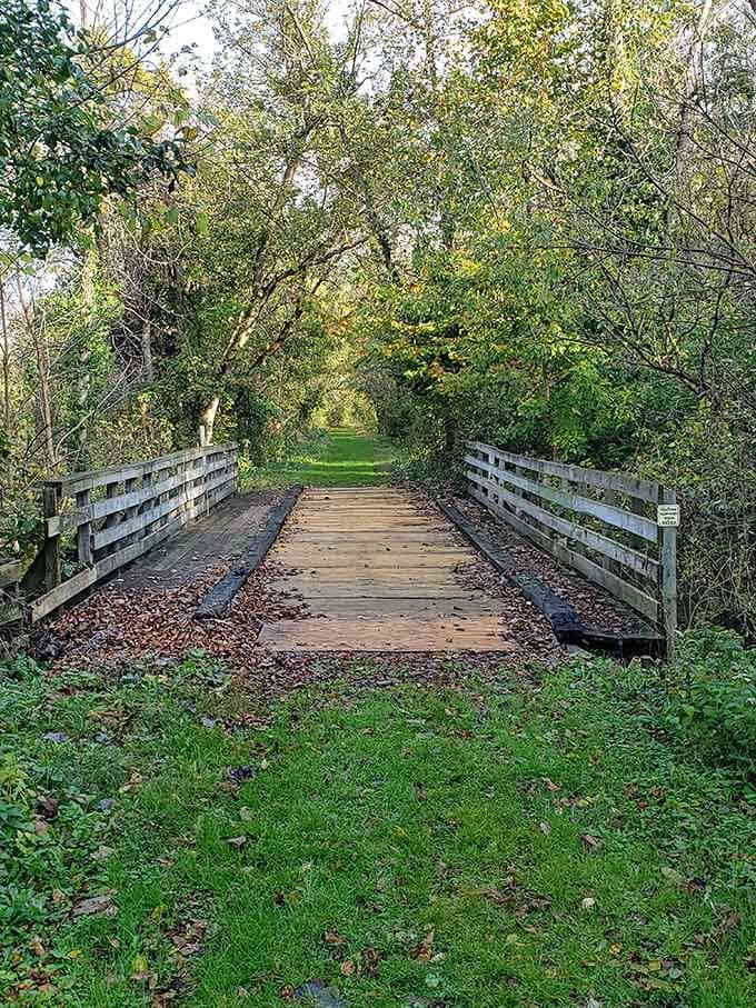 This wooden bridge along the Milan Towpath MetroPark invites peaceful walks where the only traffic jam involves squirrels and songbirds.