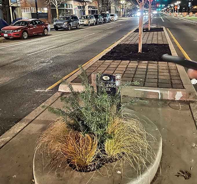 Evening illumination transforms the park into something almost mystical, a glowing circle of green in Portland's nighttime streetscape.