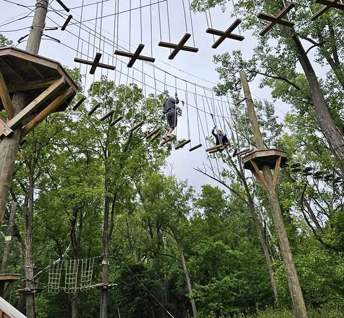 For summer visitors, the aerial adventure course offers tree-top thrills when the ice chutes are dormant.