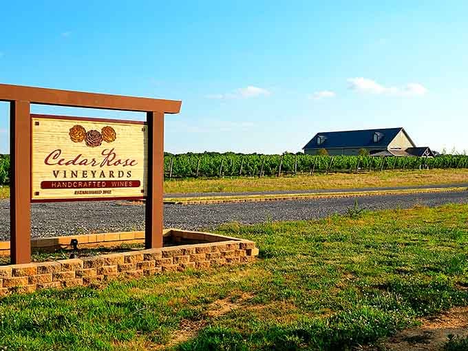 Local vineyards bring a touch of Napa Valley sophistication to South Jersey without the California price tag.