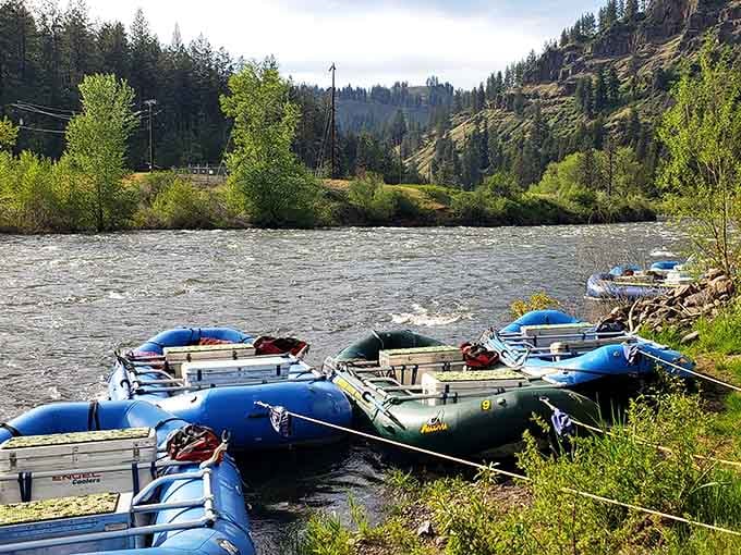 Rafts lined up like eager students waiting for class, ready to carry adventurers downstream into genuine wilderness territory.