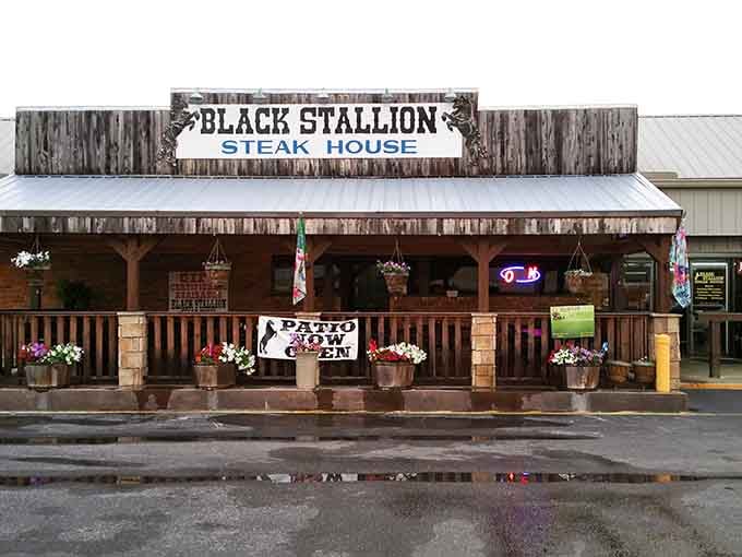 Black Stallion Steak House promises hearty meals in rustic surroundings where your appetite meets its happy match.