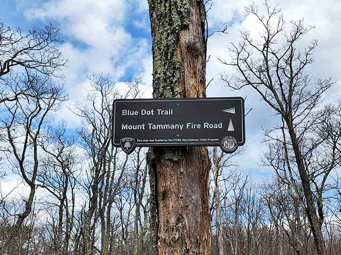 Trail markers keeping you on track, because getting lost in the wilderness is only romantic in movies and novels.
