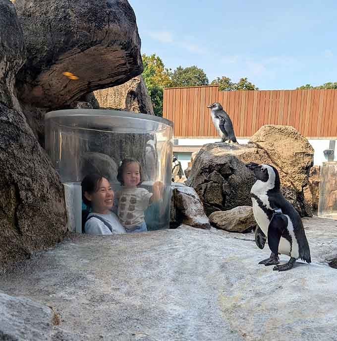 Popping up inside a clear dome while a penguin stares you down is the kind of memory that sticks around for decades.