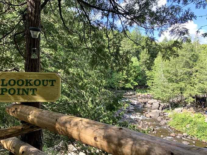 Lookout Point promises views that'll make you forget about checking your phone for five whole minutes.