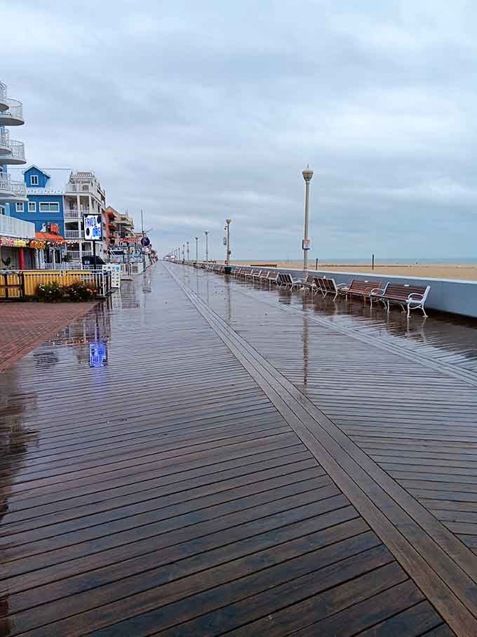 Rain-soaked boardwalk gleaming like a mirror, reflecting clouds and the promise of better weather ahead tomorrow.