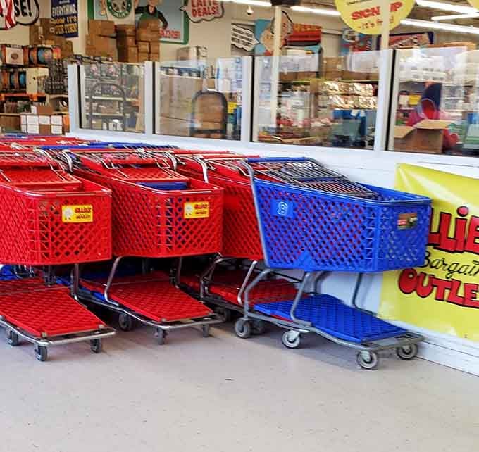 Red and blue carts standing ready like loyal steeds, prepared to carry your bargain bounty home.