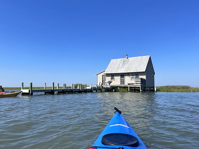 Kayaking past weathered fishing shacks where the real Eastern Shore reveals itself beyond the postcard views.