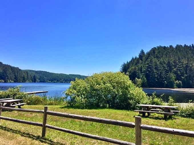 Picnic tables overlooking a pristine lake remind you that the dunes offer more than just sandy thrills and spills.