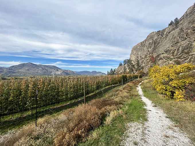 Walking paths between orchards and dramatic cliffs prove that agricultural areas can be surprisingly Instagram-worthy when done right.