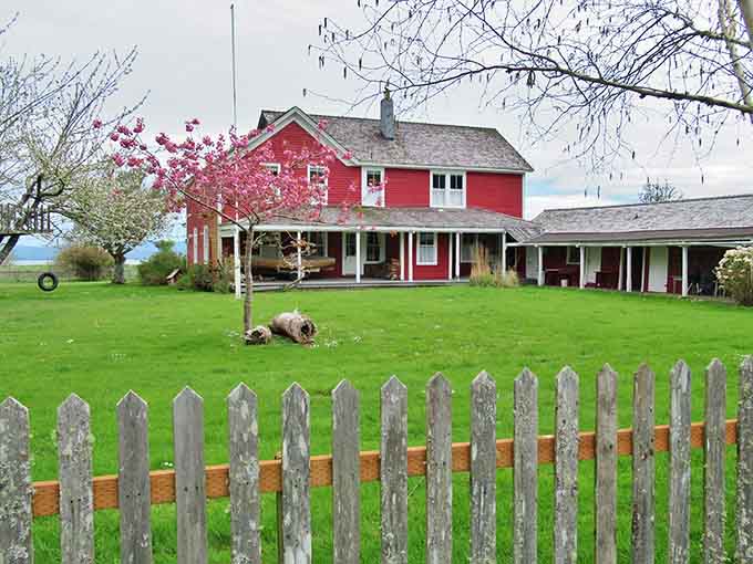 Every home here seems to have its own character, its own quiet story to tell.