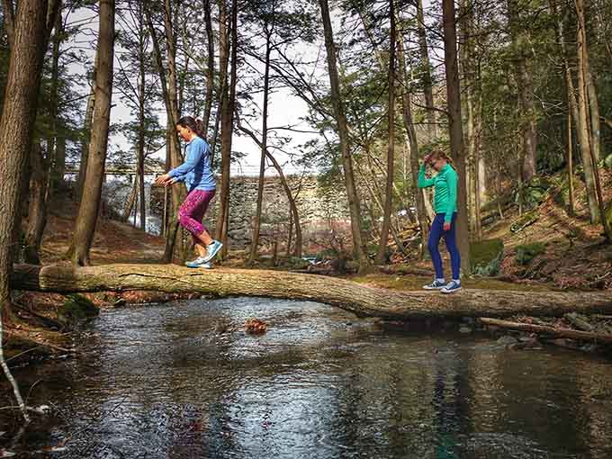 Fallen logs become adventure bridges when you're exploring Pachaug, proving nature builds better playgrounds than any city planner.