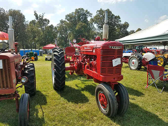 That gleaming red Farmall stands proud among vintage iron, a testament to American agricultural heritage.