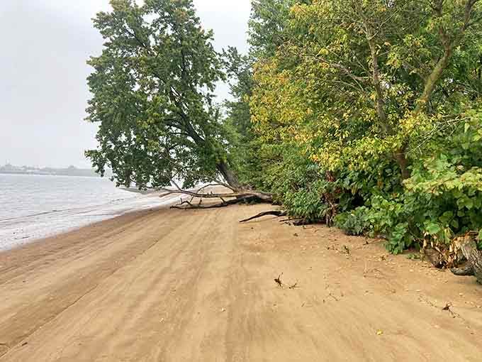 Sandy beaches meet shady trees in a partnership that works better than most Hollywood marriages ever did.